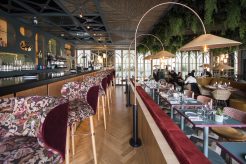 Botania. Olvídate de todo lo que conocías del grupo Larrumba.